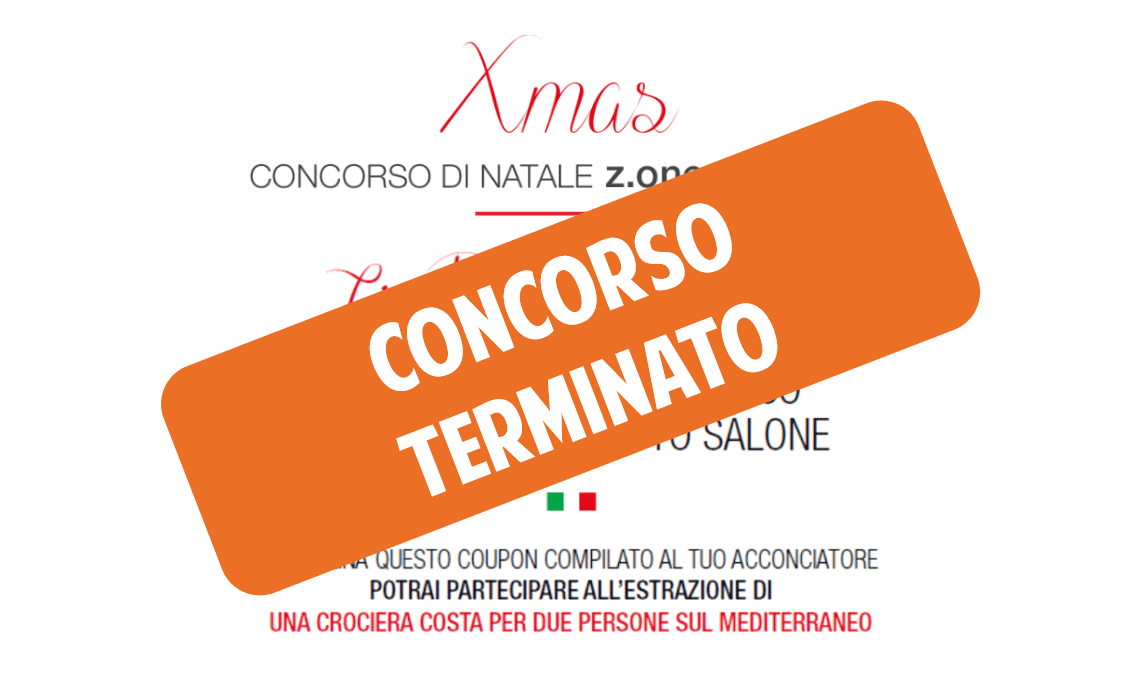 Concorso di Natale z.oneconcept - Promosfera Case History